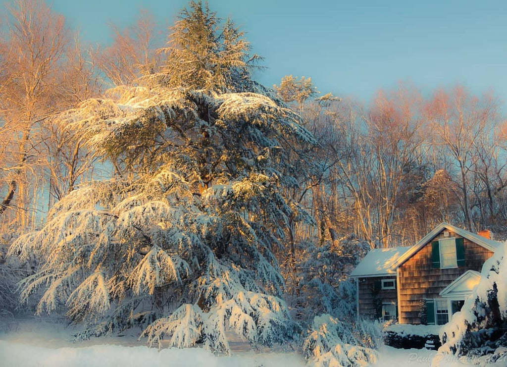 Winter Photo Contest 2023 | Nation Photo Lab