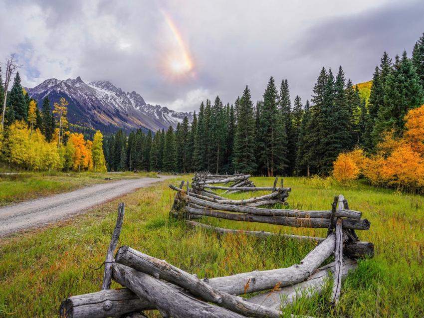 2022 Fall Photo Contest Winner | Nation Photo Lab