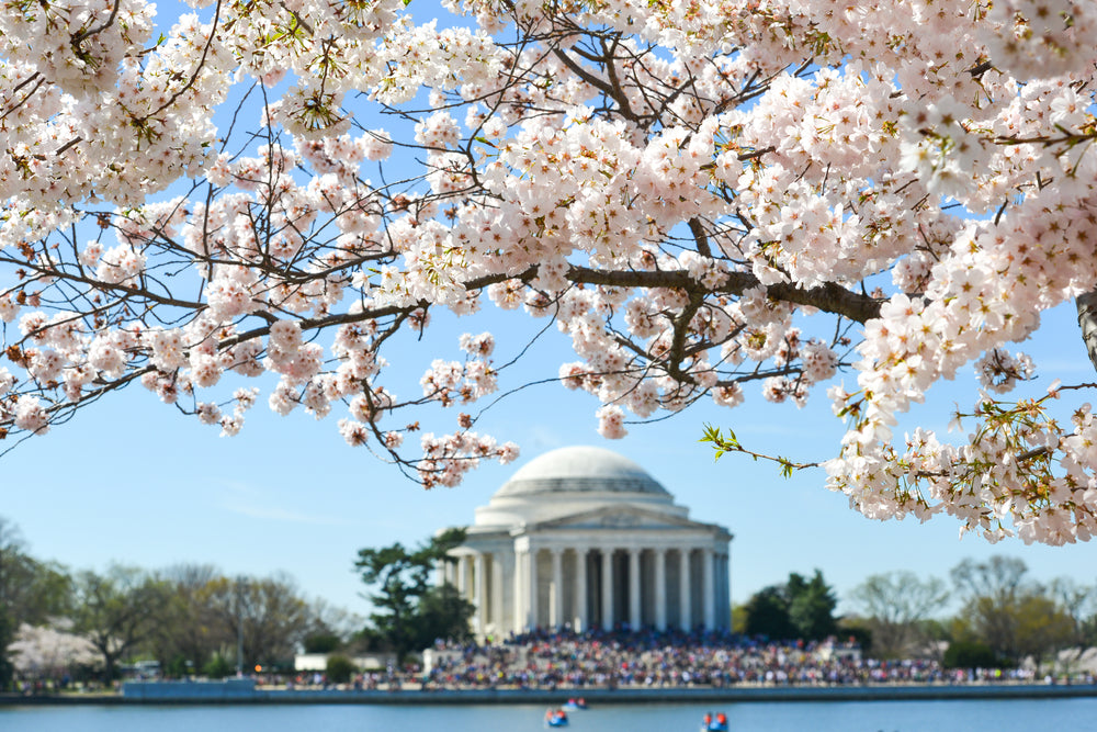 10 Gorgeous Places to Photograph in the Spring | Nations Photo Lab