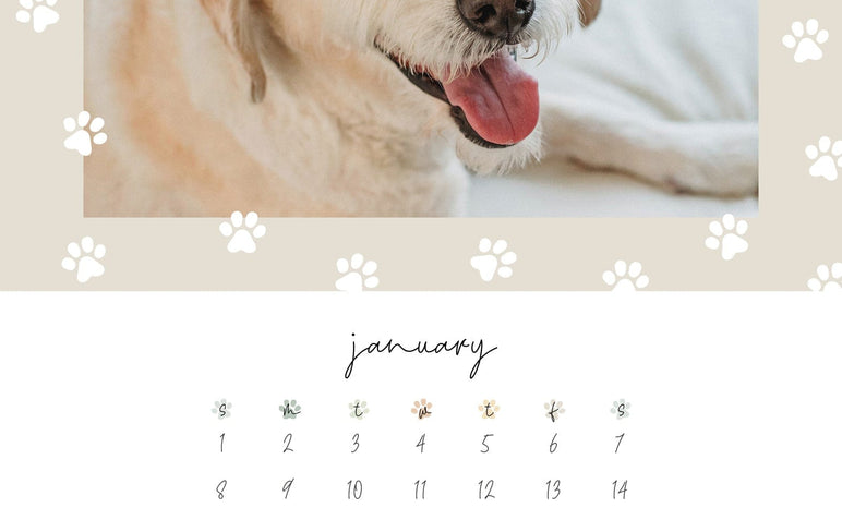 Dog Days | Desk Calendars | Nations Photo Lab