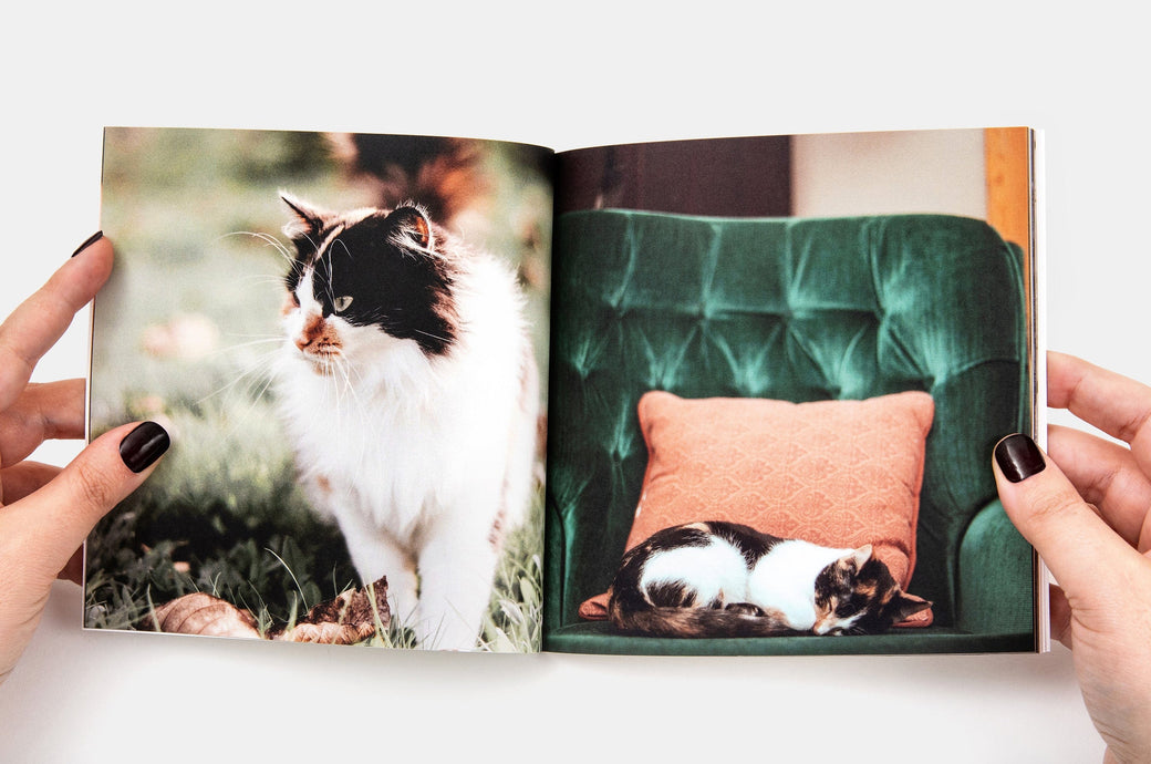 Professional Photo Books | Custom Photo Books Printing