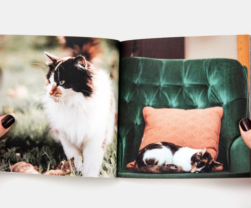Professional Photo Books | Custom Photo Books Printing | Nations Photo Lab