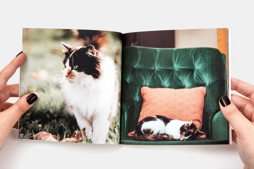 Professional Photo Books | Custom Photo Books Printing