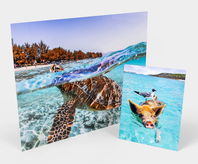 Metal Prints | Aluminum Printed Photographs | Nations Photo Lab