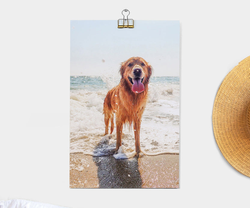 11x17 Prints - Order Professional 11 x 17 Photo Prints Online