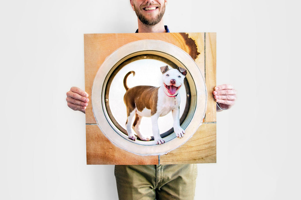 20x20 Prints - Order Professional 20x20 Photo Prints Online