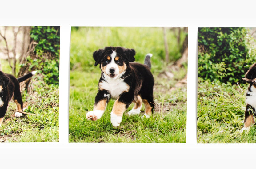 5x5 Prints | Order Professional Photo Prints | Nations Photo Lab