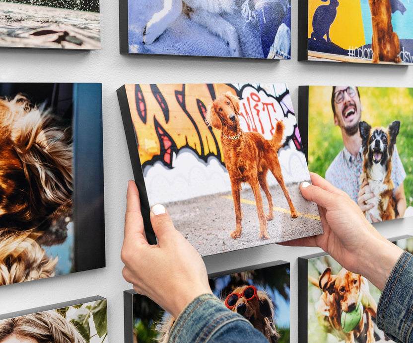 Standout Print Mounting | Nations Photo Lab