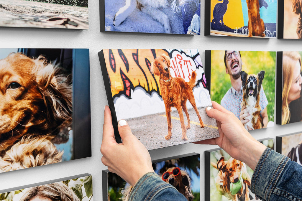 Standout Print Mounting | Nations Photo Lab