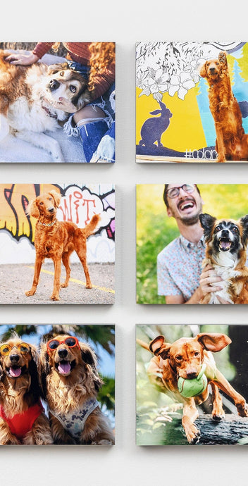 Standout Print Mounting | Nations Photo Lab