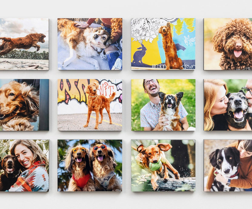 Standout Print Mounting | Nations Photo Lab