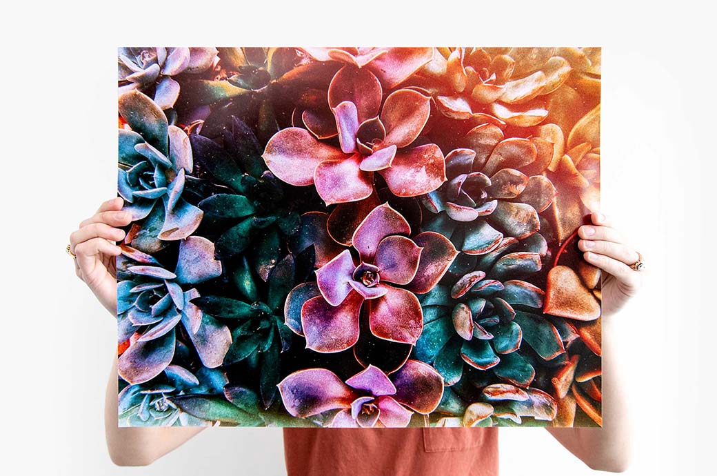 16x20 Prints | Order Professional Photo Prints | Nations Photo Lab