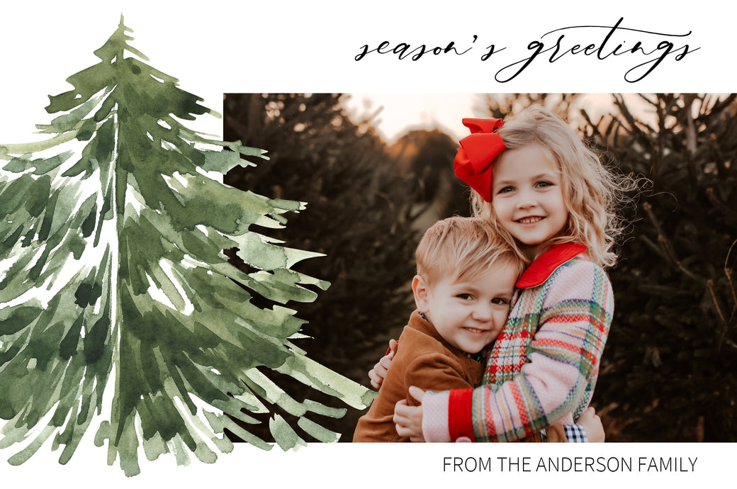 Evergreen Greetings | Designer Cards | Nations Photo Lab