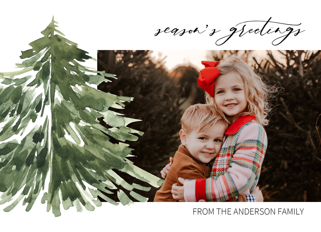 Evergreen Greetings | Designer Cards | Nations Photo Lab