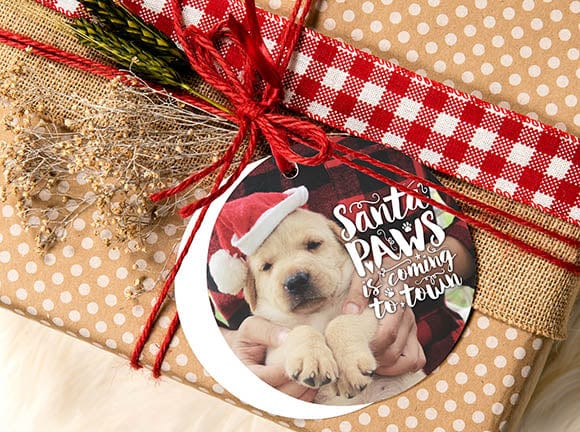 Santa Paws | Designer Cards | Nations Photo Lab