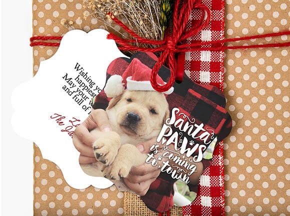 Santa Paws | Designer Cards | Nations Photo Lab