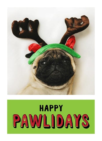 Happy Pawlidays | Holiday Cards 2026 | Nations Photo Lab