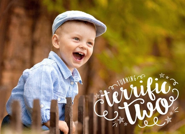 Terrific Two | Birthday Invitations 2026 | Nations Photo Lab